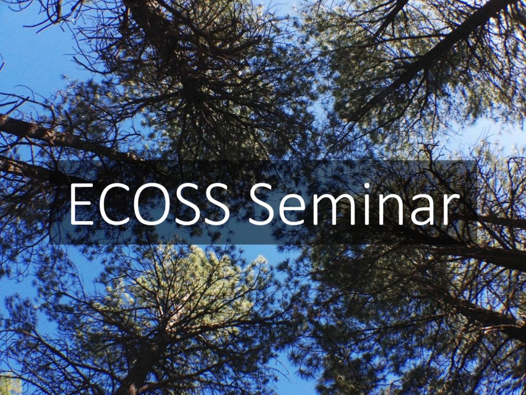 Ecoss Annual Report – Ecoss