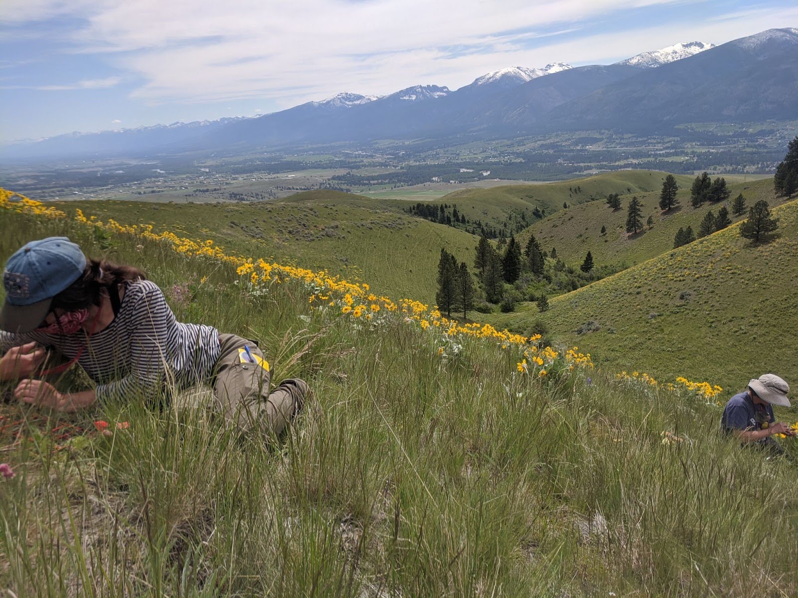 Prospective Graduate Students – Ecoss